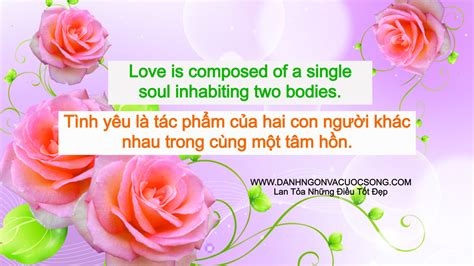 Những câu châm ngôn về tình yêu bằng Tiếng Anh hay nhất