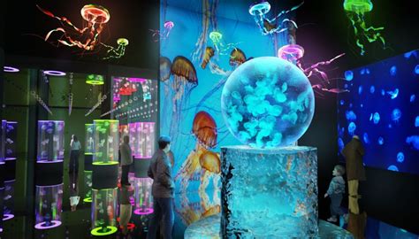 Legacy Entertainment Beijing Haichang Ocean Park Blooloop