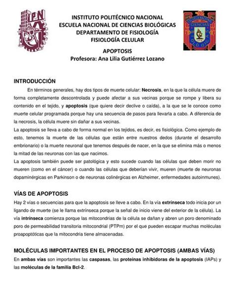 Apoptosis Alejandra Tinoco Rojas UDocz