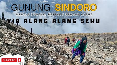 MENUJU PUNCAK GUNUNG SINDORO VIA ALANG ALANG SEWU 2 BERPACU DENGAN