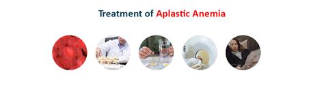 Meaning Of Aplastic Anemia Symptoms Risk Factors Management And