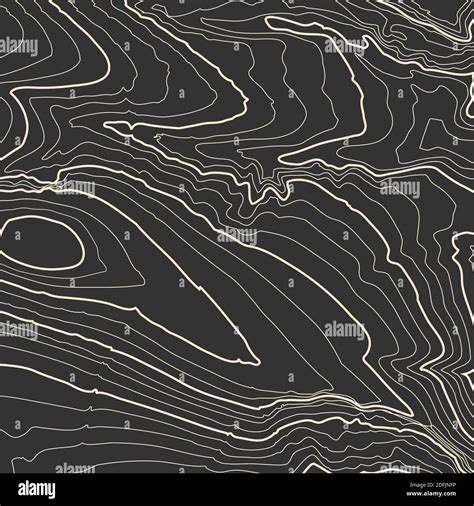 Grey Contours Vector Topography Geographic Mountain Topography Vector