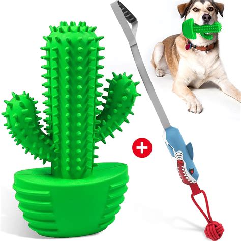 Jouets pour chien jouet à mâcher en forme de cactus et corde à secouer