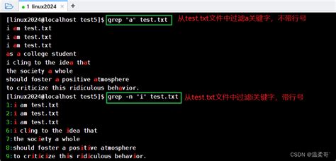 grep命令、wc命令和管道符 grep wl csdn博客