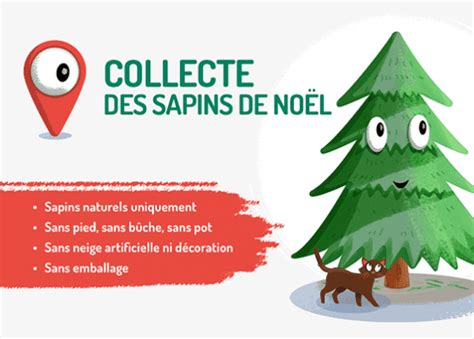 Points De Collecte Des Sapins De No L Premesques