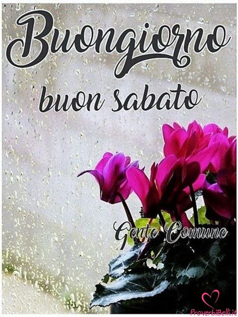 Buongiorno Sabato Immagini Belle ImmaginiBuongiornoBelle It