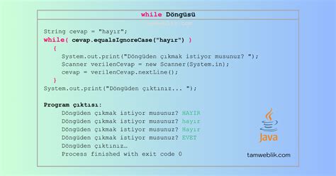 Java Da D Ng Ler While D Ng S While Loop Tam Weblik