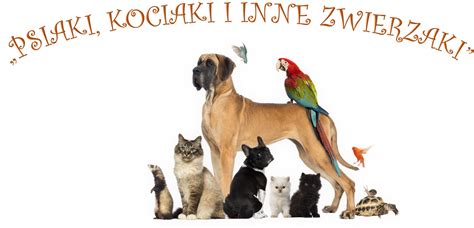 Szkoła Podstawowa Nr 8 w Kielcach Uczniowie naszej szkoły nagrodzeni