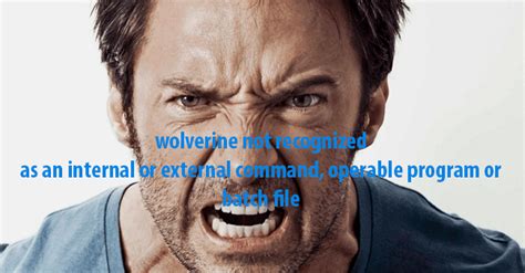 instructions for fixing errors not recognized as an internal or external command when using