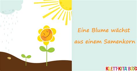 Vom Löwenzahn zur Pusteblume Eine Wachstumsbeobachtung Klett Kita