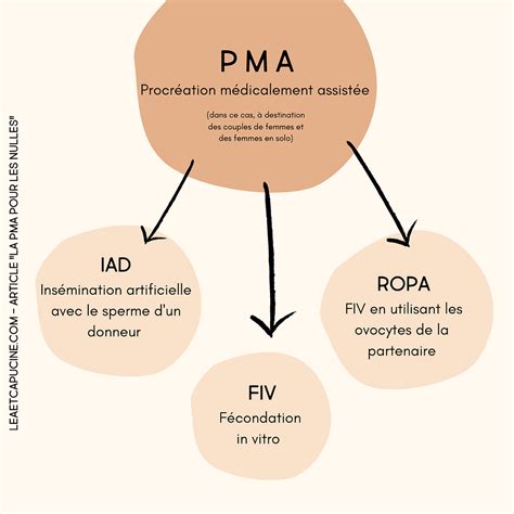 La PMA Pour Les Nulles Explications Et Lexique