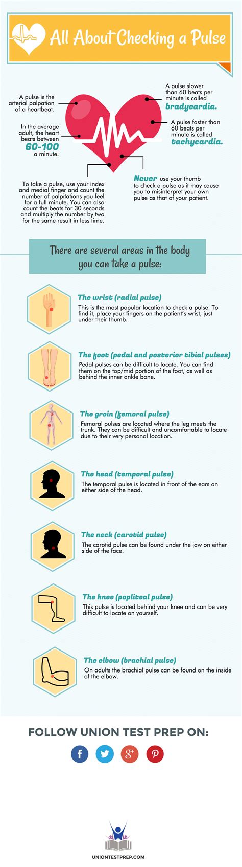 Adult Heart Beat Per Minute Telegraph