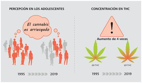 Informe Mundial Sobre Las Drogas 2021 Dianova