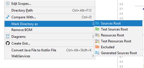 IntelliJ Is Not Letting Me Run My Java Code Src Folder Is Not Blue