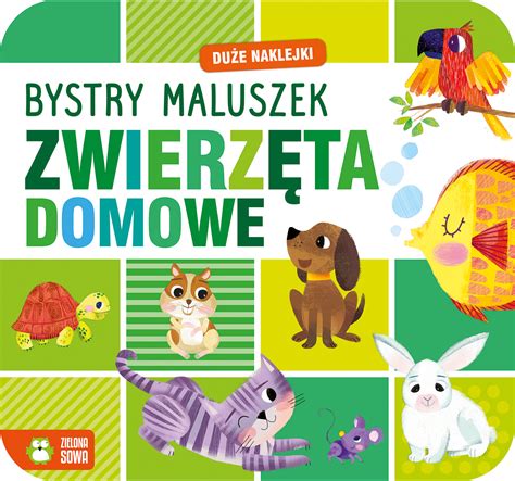 Zwierzęta domowe Bystry maluszek książka TaniaKsiazka pl