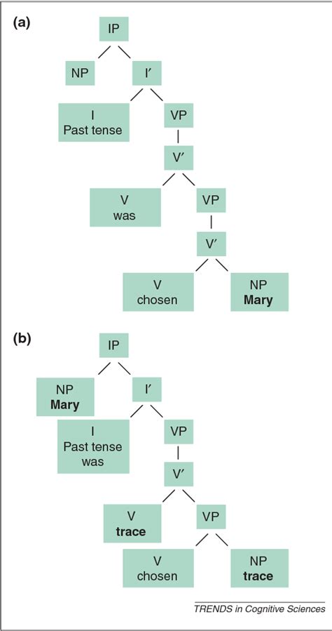 figure 2 from the minimalist program in syntax semantic scholar
