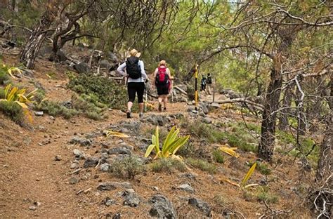 Les 9 meilleures activités en Crète Visites Excursions