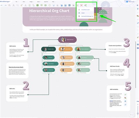 What Is A Functional Chart How To Make One Mindmanager Hot Sex Picture