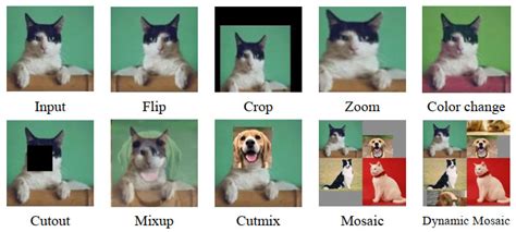 dynamic mosaic algorithm for data augmentation 59110 hot sex picture