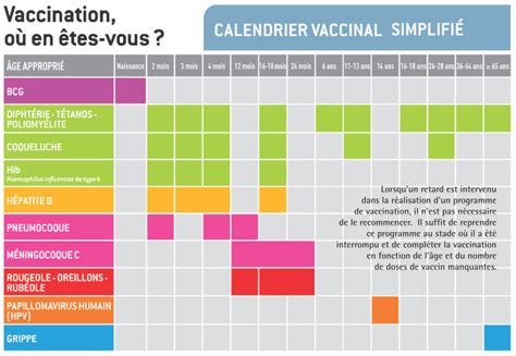 calendrier des vaccins bébé 2024 Free Calendar Template 2024