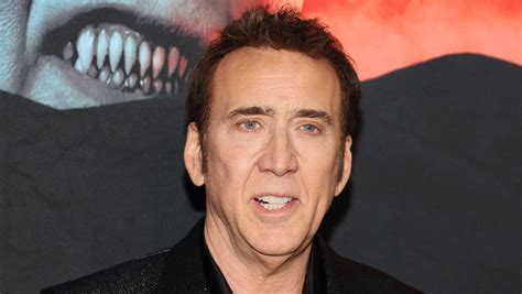 Nicolas Cage gibt zu dass er lausige Rollen übernommen hat um