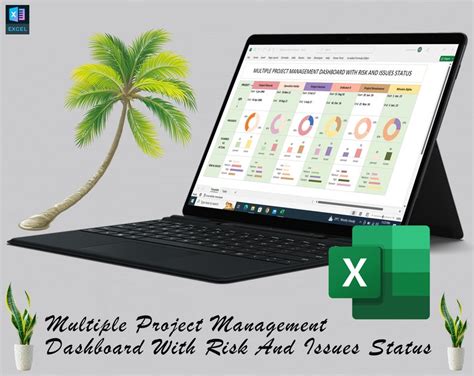 Multiple Projects Management Dashboard With Risk Issues Status