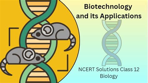 NCERT Solutions For Class 12 Chapter 10 Biotechnology And Its