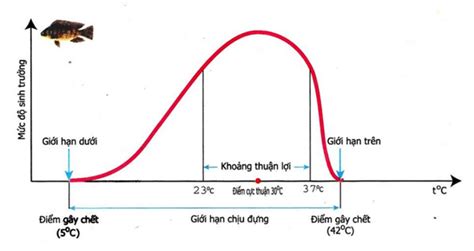 Lý thuyết KHTN 8 Bài 38 Cánh diều 2024 Môi trường và các nhân tố