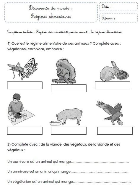 Épinglé par asmaa bensouda sur éveil scientifique Chaine alimentaire