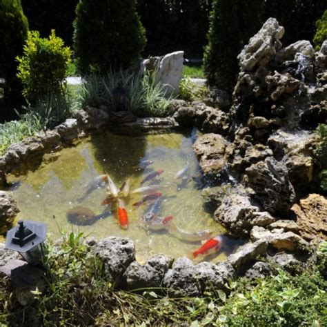 INFOMINA Cara Membuat Kolam Koi Minimalis Dan Contoh Desainnya