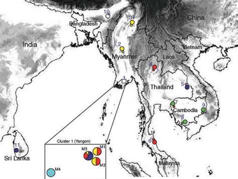 Relief Map Of Southeast Asia And Sri Lanka Showing Sample Collection
