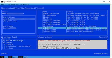 Connect Using The Sap Hana Odbc Driver Sap Tutorials