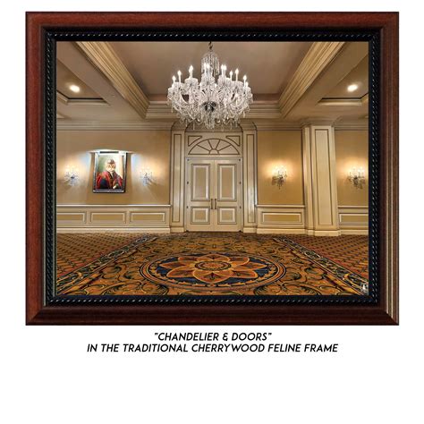 Chandelier Doors Frame Your Feline
