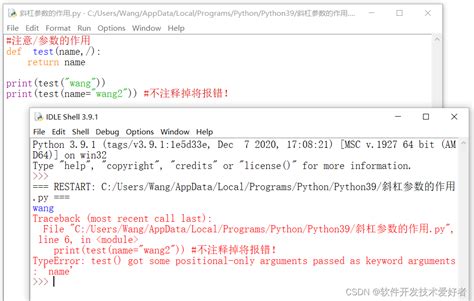 python函数的参数详解 python函数参数 csdn博客
