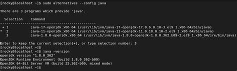 How To Install And Configure Open JDK And Oracle JDK On Rocky Linux