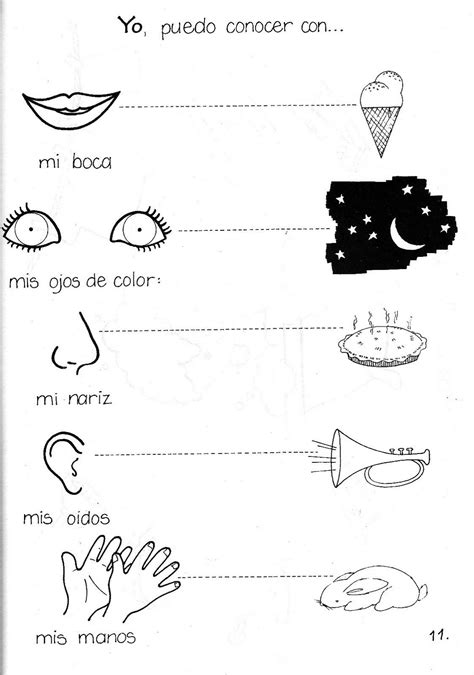 Menta M S Chocolate Recursos Y Actividades Para Educaci N Infantil
