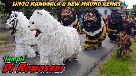 KIRAB CAN MACANAN SINGO MANGGALA DAN DRUMBAND MAONG REMAS DI ROWOSARI