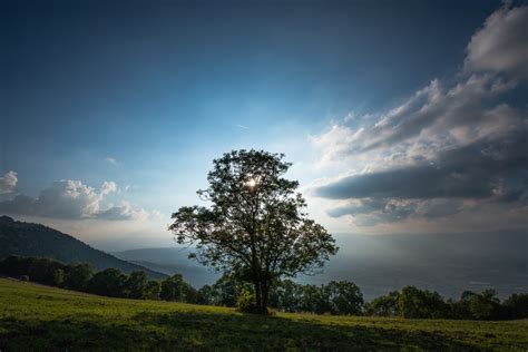 Fotos gratis paisaje árbol naturaleza césped horizonte montaña