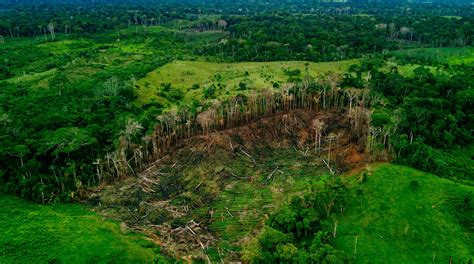 Prodes registra que desmatamento na Amazônia Legal cresceu 21 97