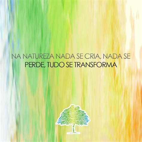 Na Natureza Nada Se Cria Nada Se Perde Tudo Se Trasforma