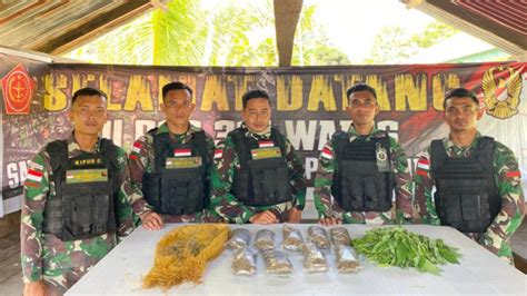 Satgas Yonif 122 TS Pos Waris Amankan 465 Gram Paket Ganja Di
