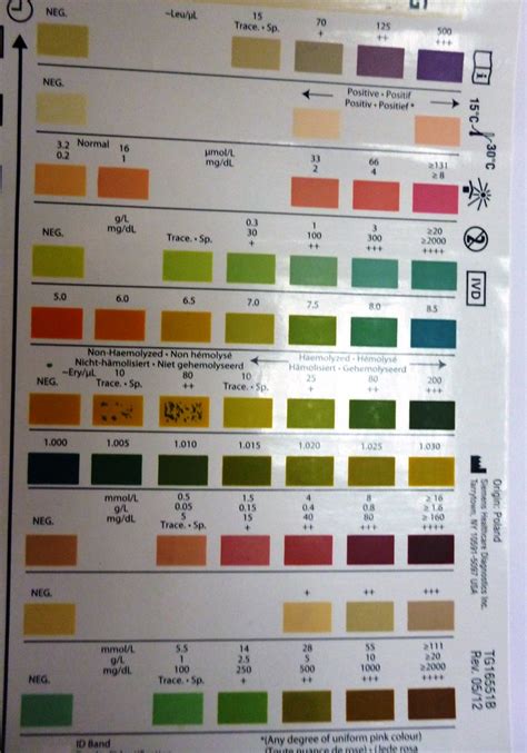 Printable Urine Dipstick Results Form