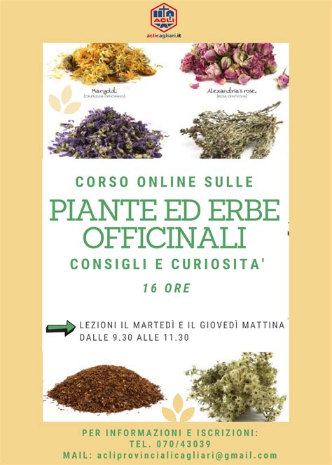 Corso Online Sulle Piante Ed Erbe Officinali Consigli E Curiosit