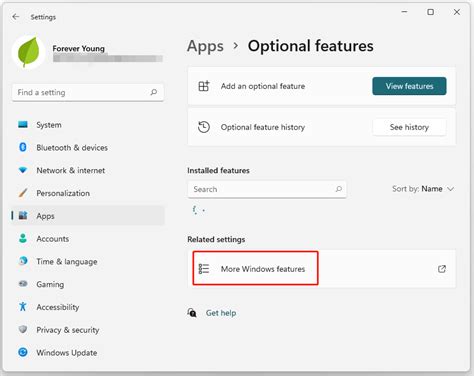 How To Add Or Remove Optional Features In Windows 11 MiniTool
