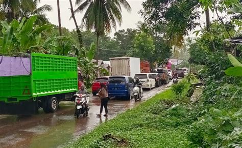 Pohon Tumbang Tutup Jalur Bone Maros Macet Hingga 1 KM Bonepos