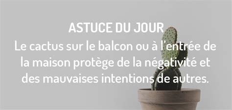 Horoscope et traits de personnalité des hommes de chaque signe