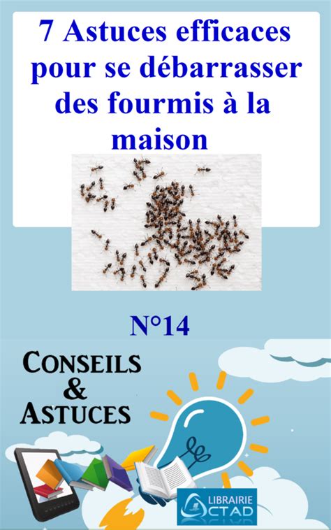7 Astuces efficaces pour se débarrasser des fourmis à la maison