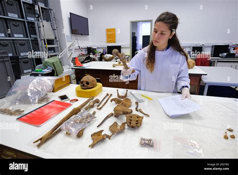 Forensic Anthropology Hi Res Stock Photography And Images Alamy