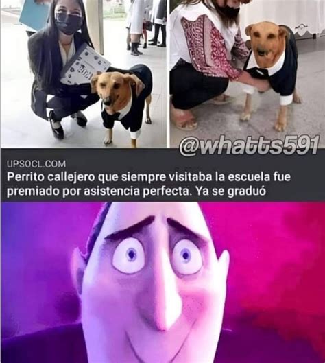 Genial Meme Subido Por Cabradamus Memedroid