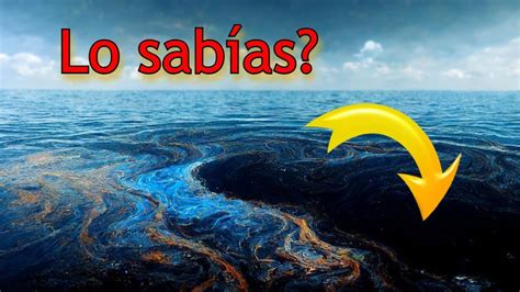 Descubre los 10 DATOS Asombrosos del OCÉANO que te Dejarán Sin Aliento